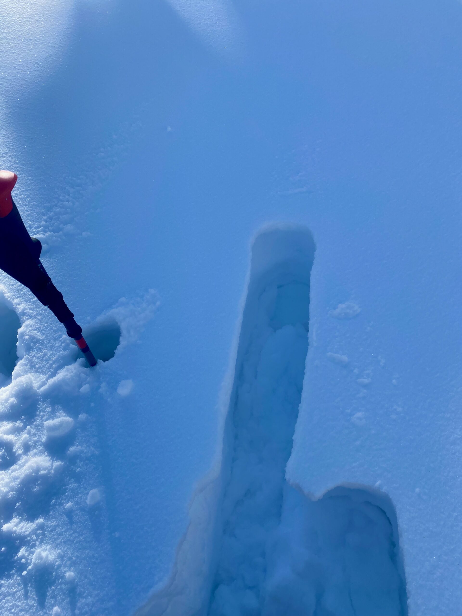 20220203_Long running dry loose snow avalanches and pockets of storm ...