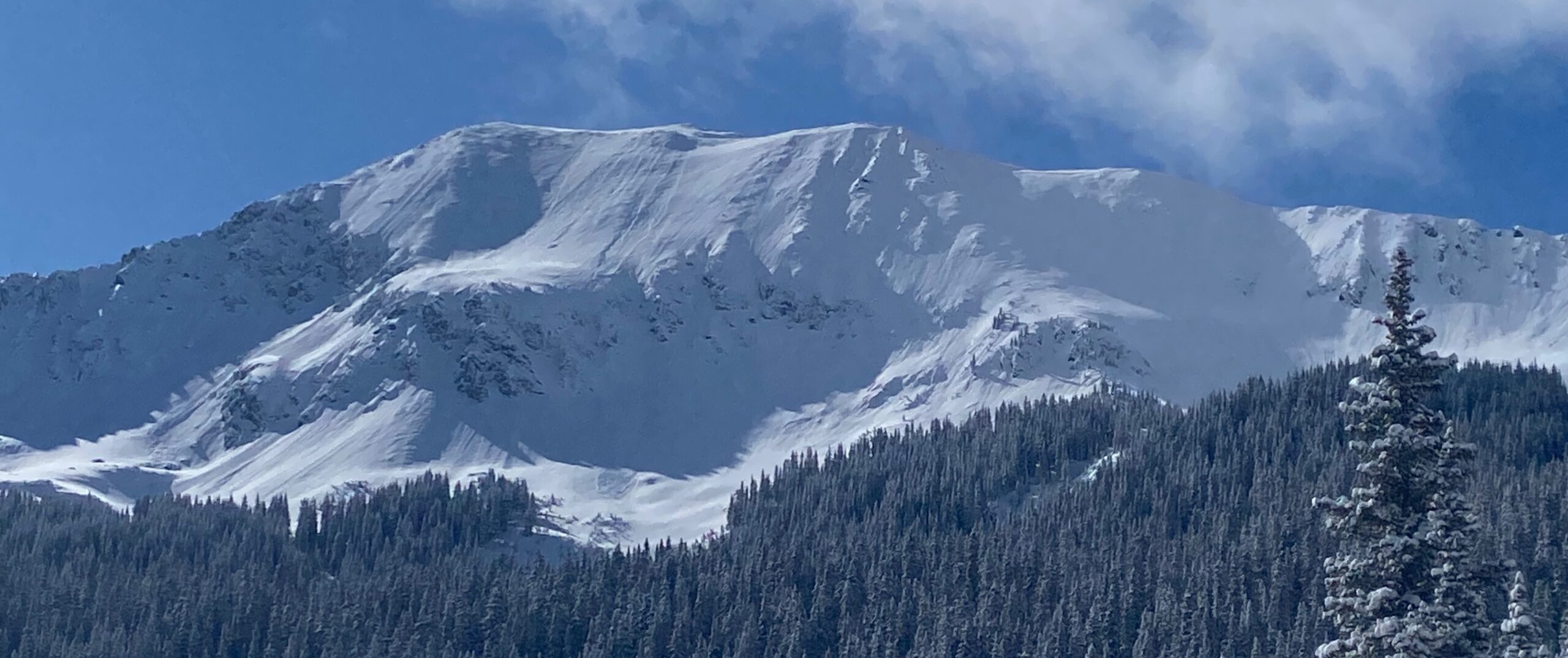 20220203_Long running dry loose snow avalanches and pockets of storm ...