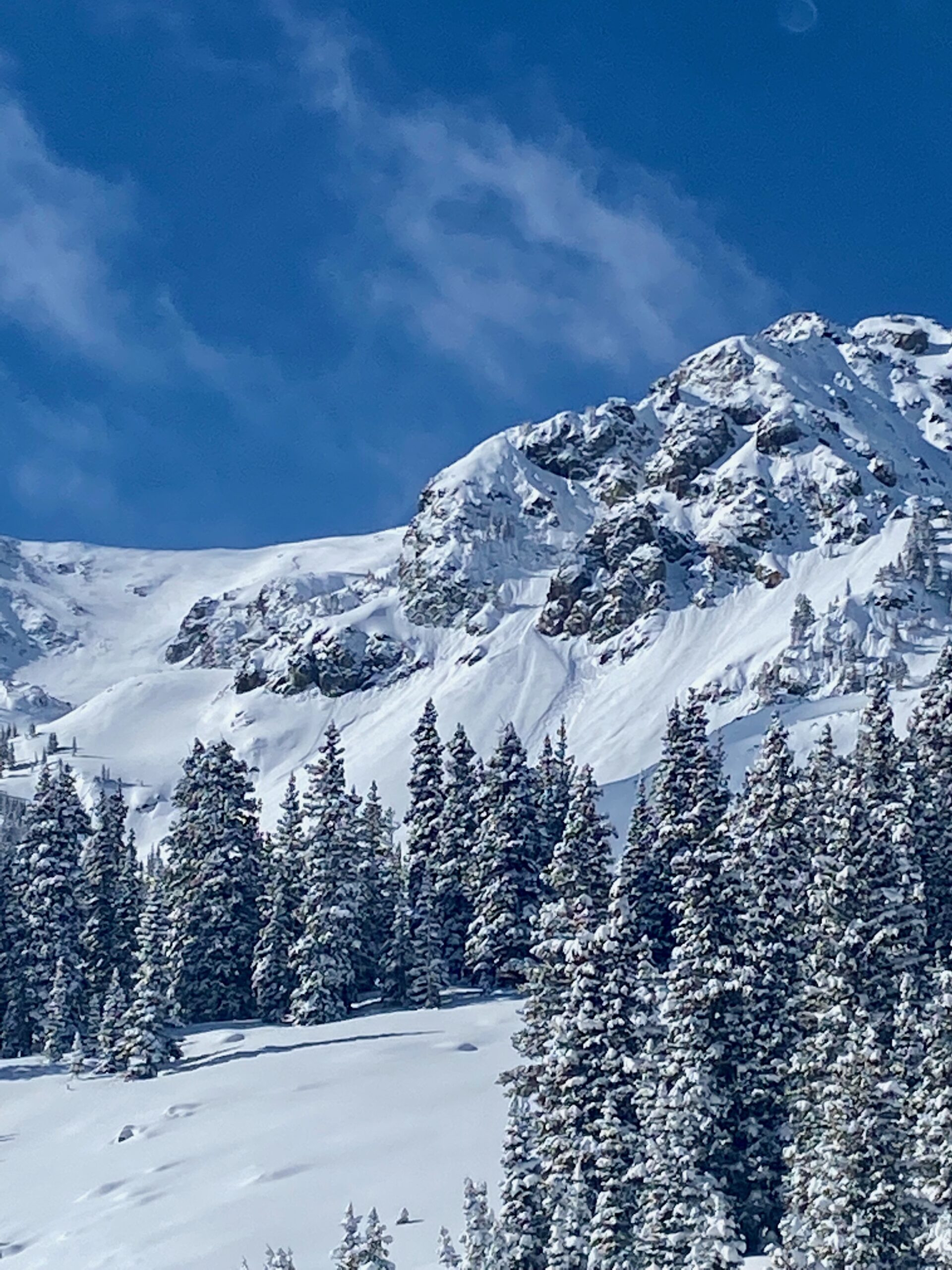 20220203_Long running dry loose snow avalanches and pockets of storm ...